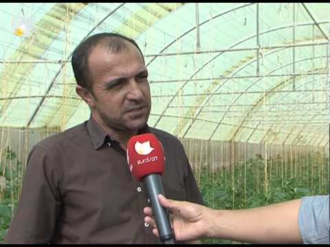 SHAREZUR   XEYAR   RAPORT16 10 2013