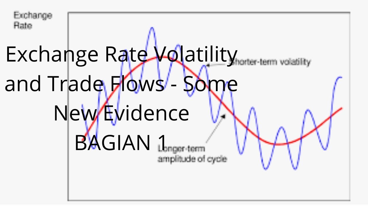 IMF: EXCHANGE RATE VOLATILITY AND TRADE FLOWS BAGIAN 1 - YouTube
