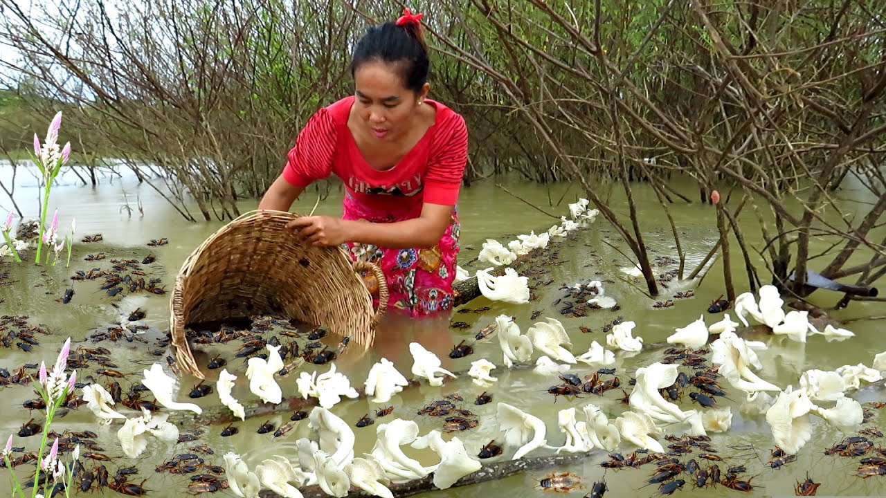 Food for animals : Women collect crickets and pick floating mushrooms ...