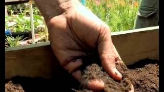 Express Garden Tips: How to plant Proteas (25.03.2014)