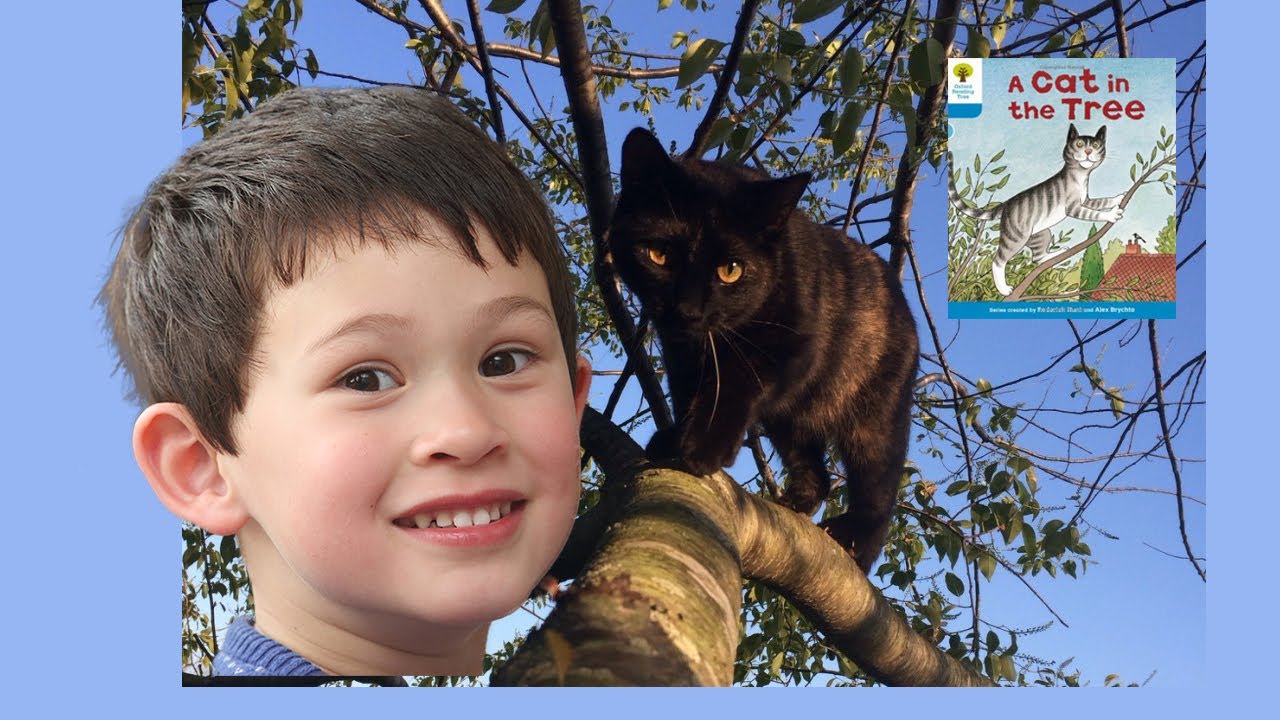 A Cat in the Tree Children book - YouTube