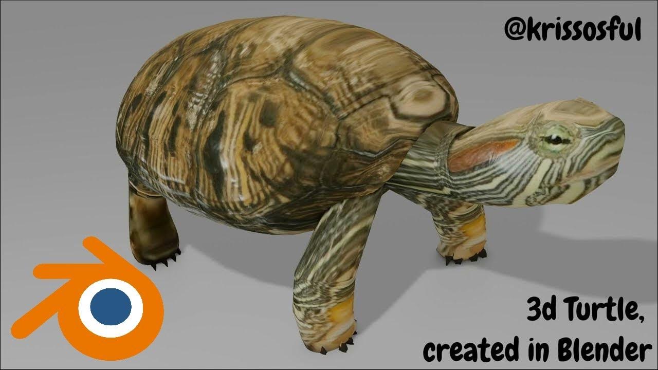 Turtle, created in Blender#blender - YouTube