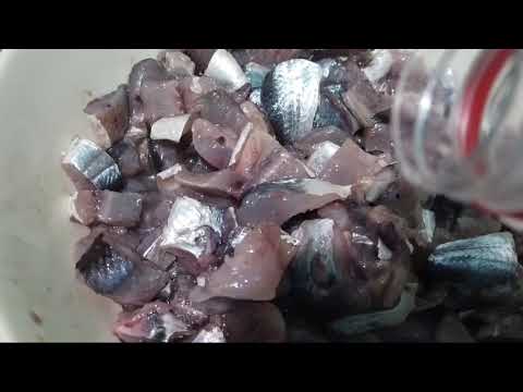 VLOG# 39: HOW TO MAKE A KINILAW BANGSI OR FLYING FISH / MOMSHIE JHANE ...