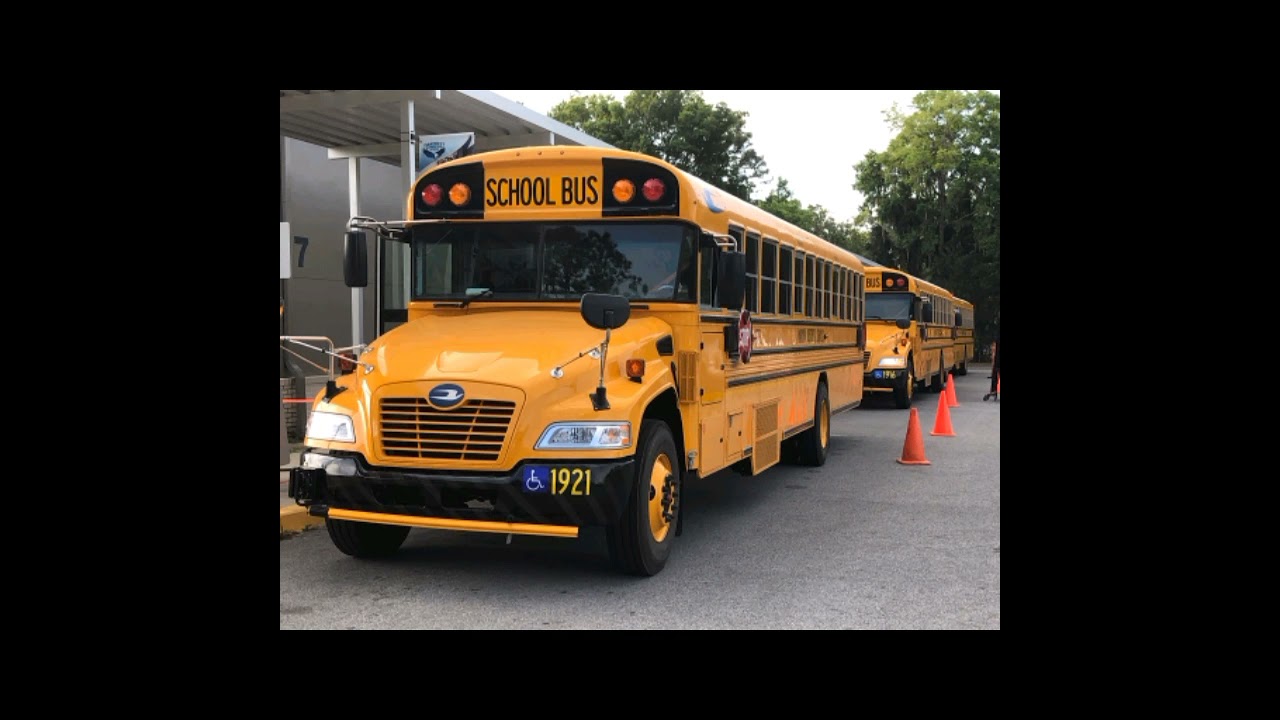 2019 bluebird vision - YouTube