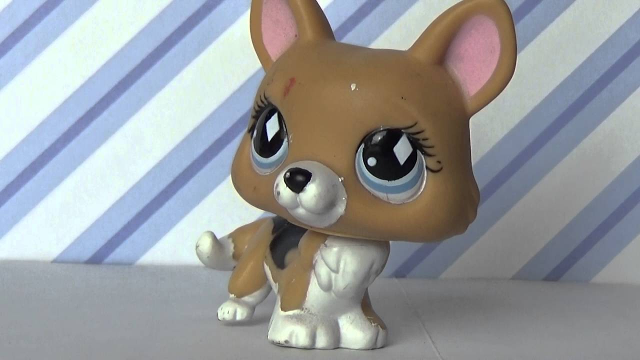 ♥ Tous mes LPS "Corgi" ♥ #6 ~FR - YouTube