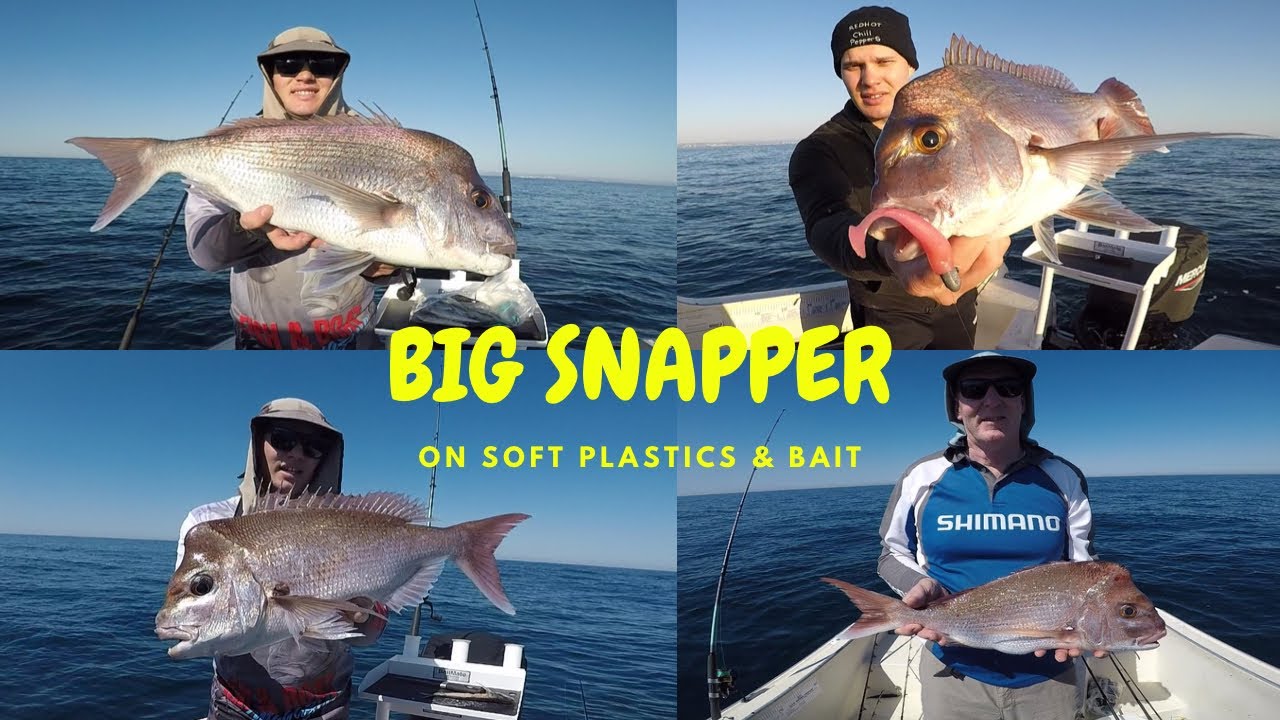 Floating down lightly weighted soft plastics & baits for big Snapper ...