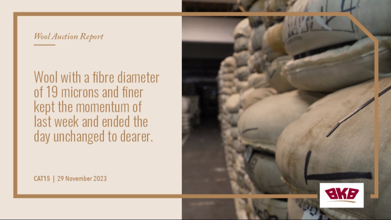 BKB Wool Market Report CAT15 | 29 November 2023 - YouTube