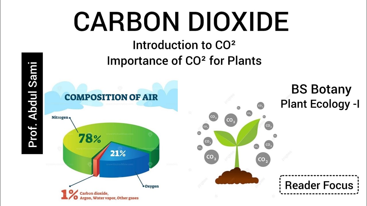 CARBON DIOXIDE | Introduction and Importance of CO² for Plants - YouTube