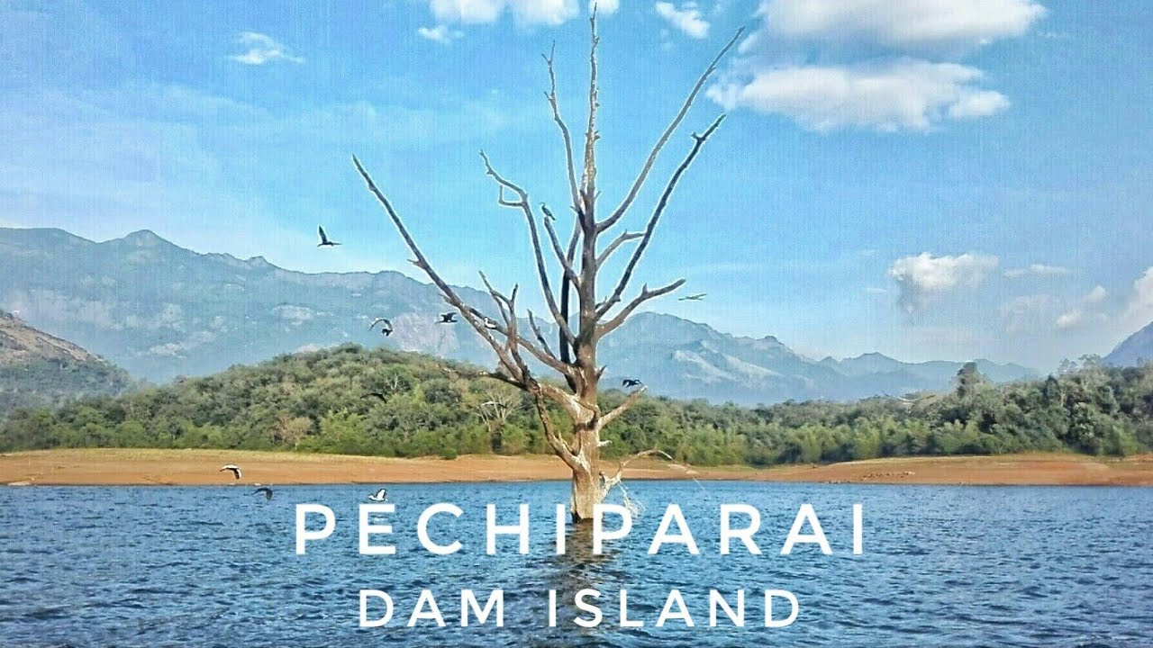 Pechiparai Dam Island | Trip to Pechiparai | Boating to Island | tamil ...