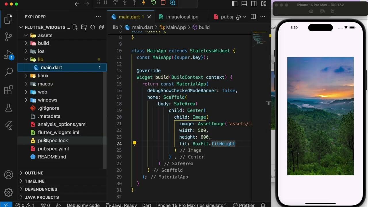 3.10. Flutter | Widgets - Image (Assets y Network) #flutter #flutterdeveloper - YouTube