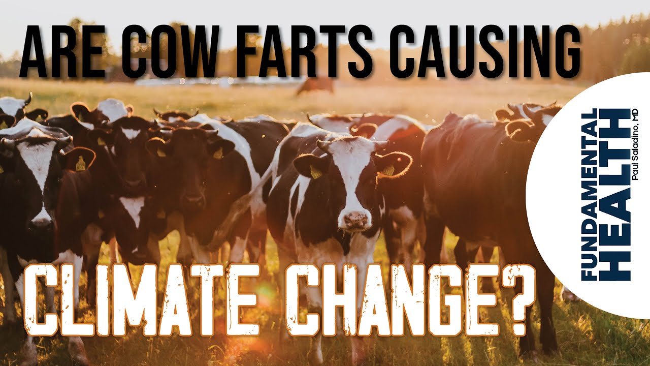 Are cow farts causing climate change? - YouTube