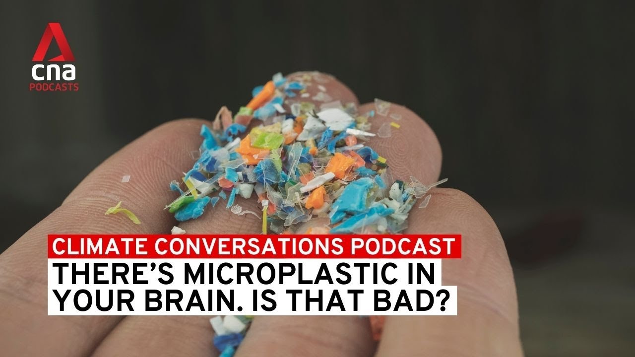How do microplastics end up in human brains? | Climate Conversations ...