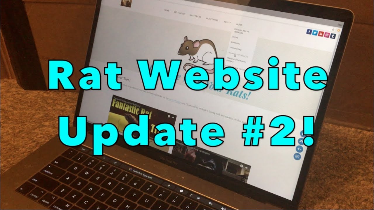 Rat Website Update 2! - YouTube