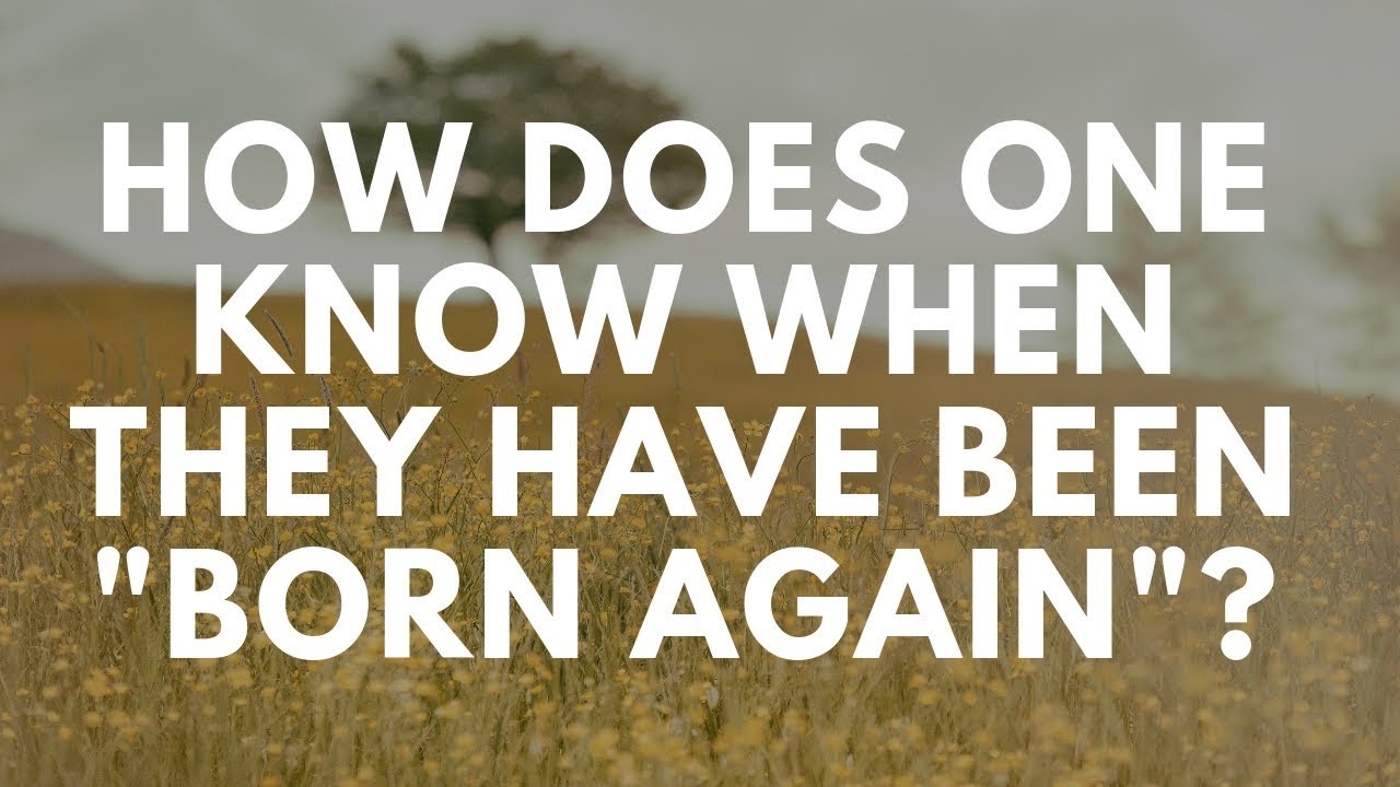 Your Questions Honest Answers - YouTube