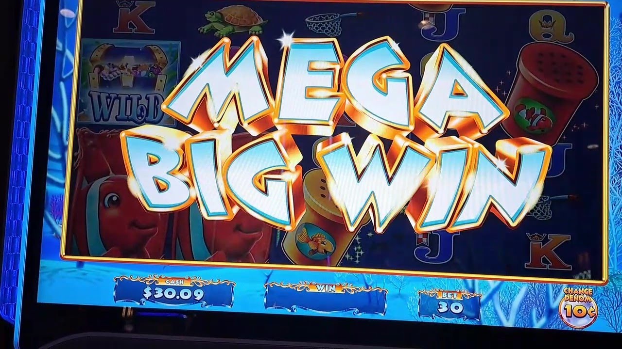 GOLD FISH FEEDING TIME Slot Machine bonus win - YouTube