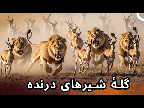وحشی‌ترین حیوانات؛ مگا قسمت ۱ ☠️ | مستند فارسی