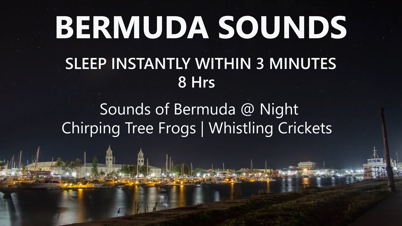 Bermuda Sounds At Night for Relaxing, Focus or Deep Sleep | 8 Hour ...
