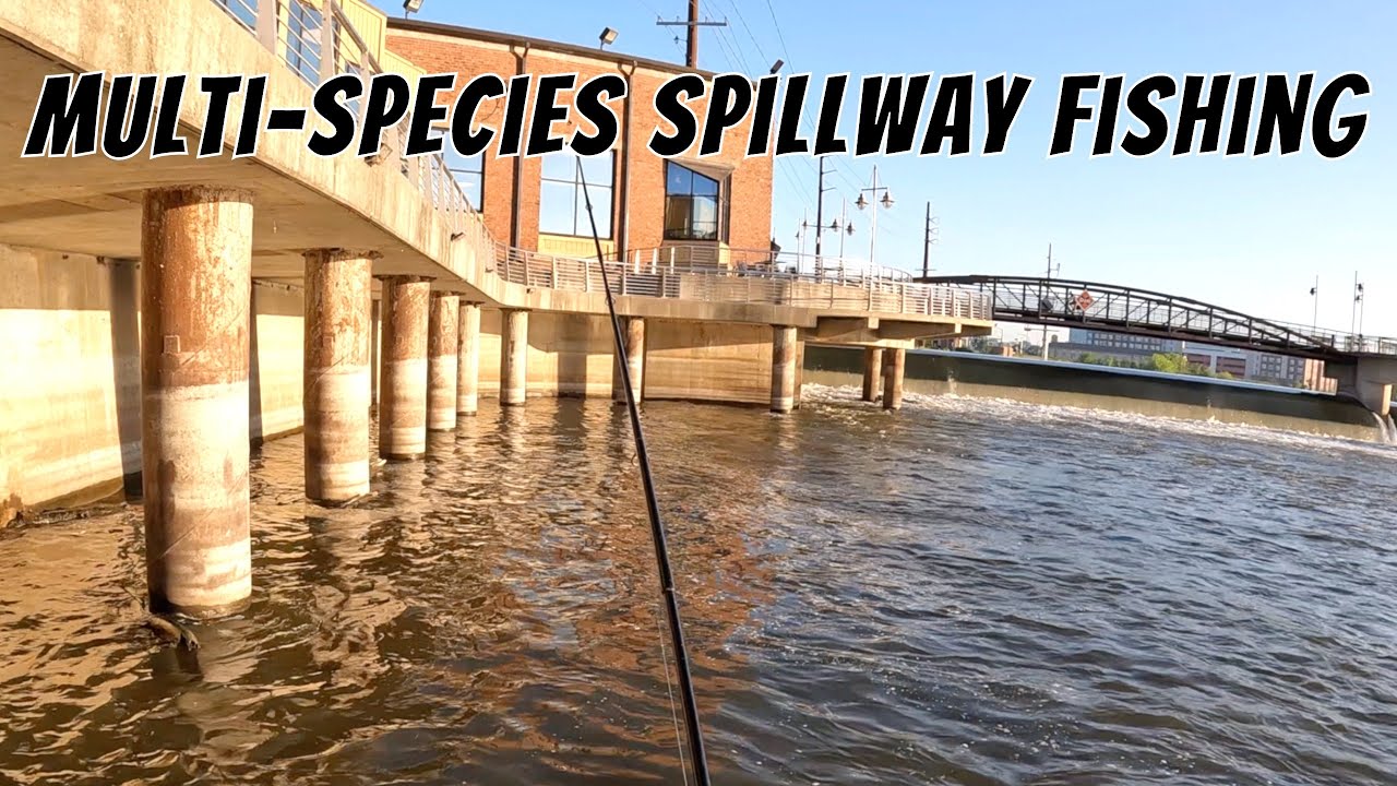 Fishing Two Raging Spillways to Catch Whatever Will Bite (Multi-Species ...