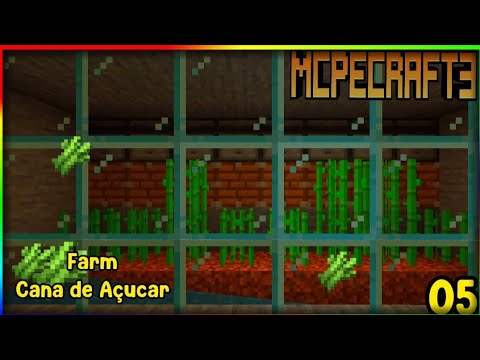 Farm de Cana de Açúcar! Minecraft Mcpe Craft3 #ep5 - YouTube