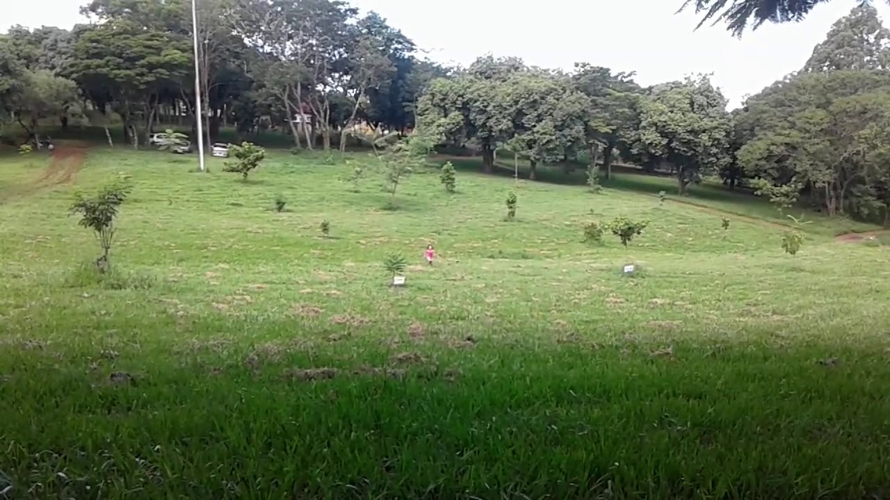 BOSQUE DE ASTORGA PARANÁ - YouTube
