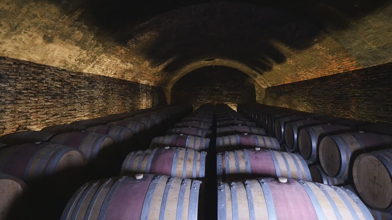 GUSTO channel: Paesaggi di Gusto - Cantine Coppo Canelli (AT) - YouTube