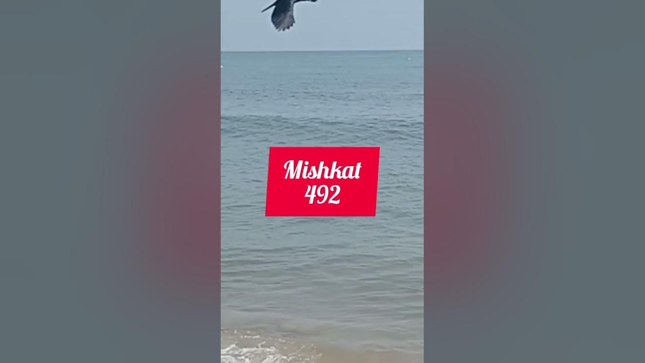 #mishkat 492 - YouTube