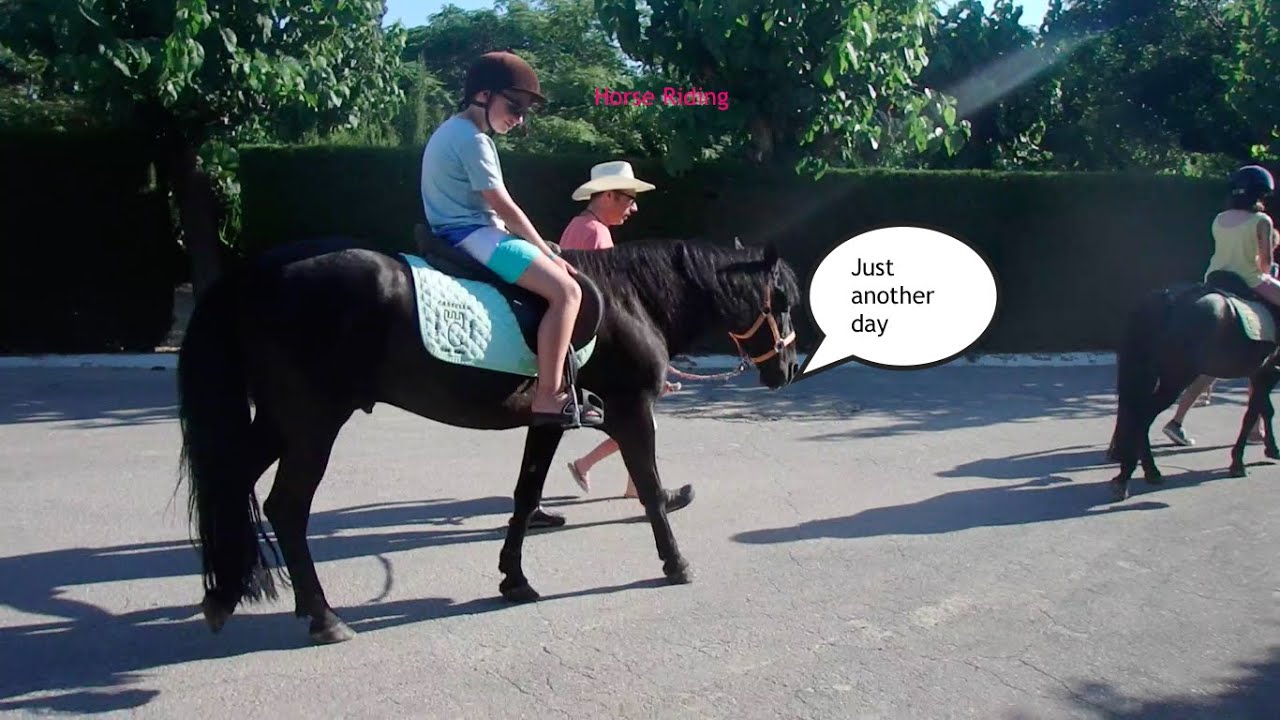 Horse Riding An Out Of Control Horse - YouTube