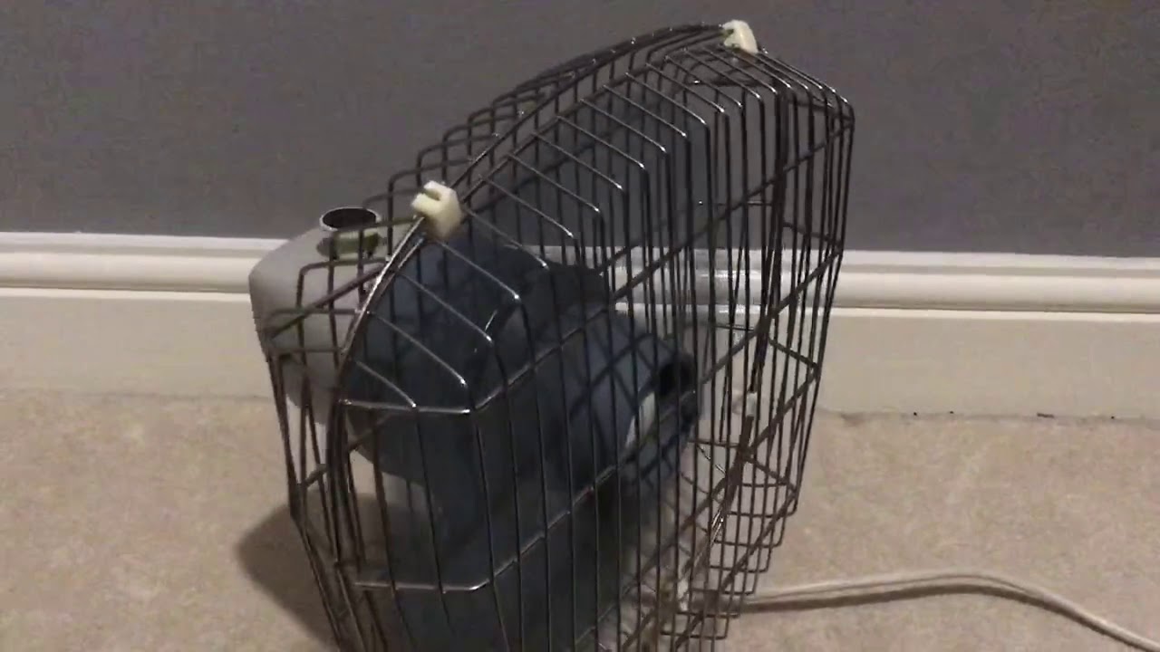 This is my xpelair Taurus fan no. 2 - YouTube