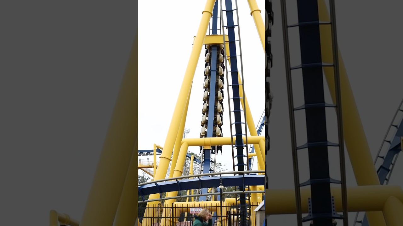 Montu dropping guests 138ft into a vertical loop! #coaster # ...