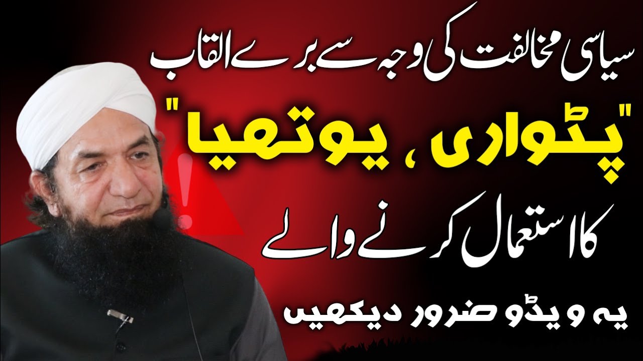Use of words PATWARI YOUTHIA ! Naeem Butt | Siasat aur hum | پٹواری اور ...