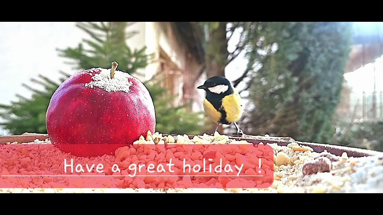 Have a great holiday ! - YouTube