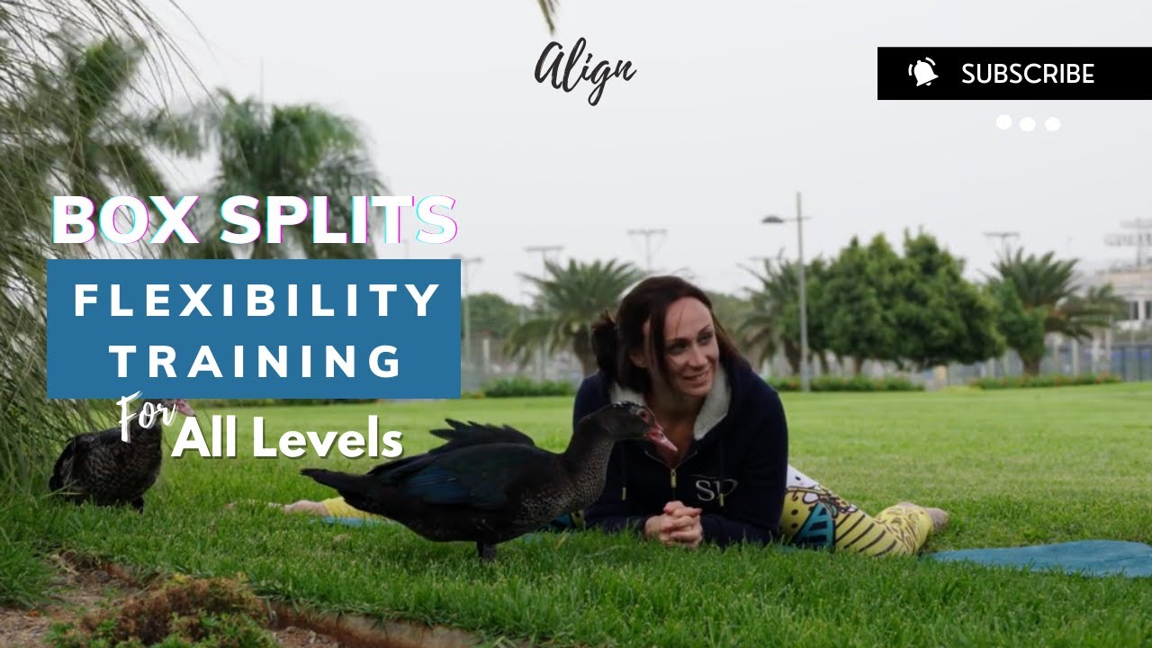 Box splits flexibility training for all levels - YouTube