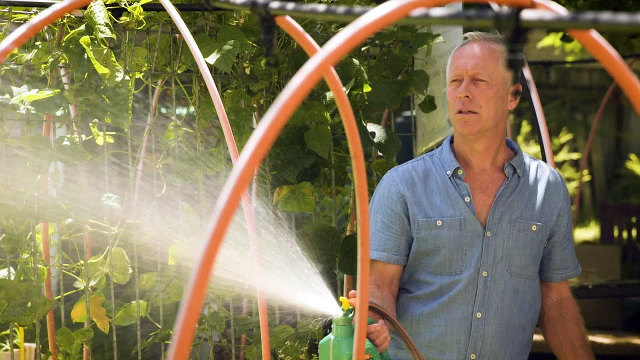 The Garden Gurus - Feeding in Autumn - YouTube