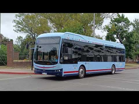Exterior - Primer día | CUTCSA 373 - BYD K9UD (Eléctrico) - YouTube