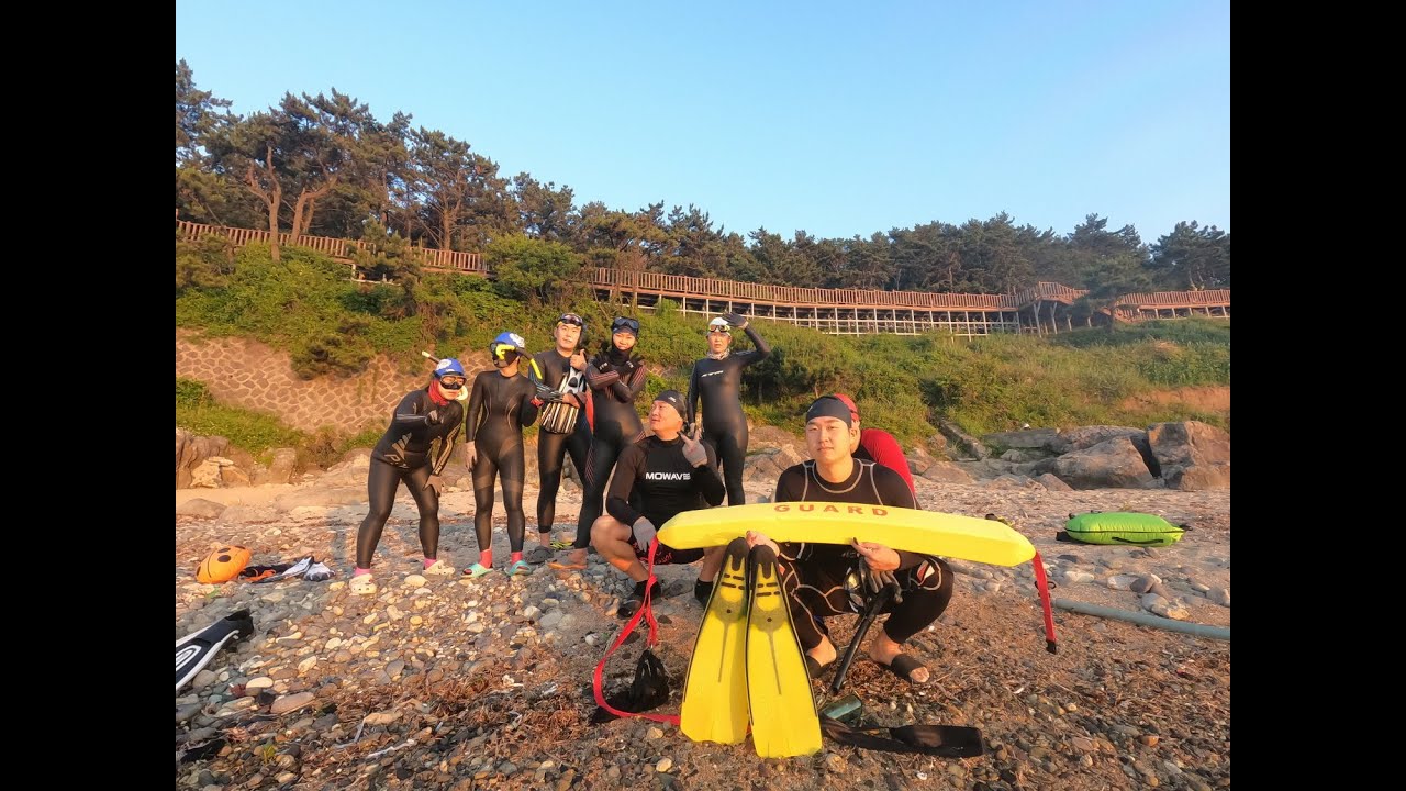 부산 해운대 해수욕장 임시 개장 송정 바다수영 펀다이빙 프리다이빙 잠수 영상 그리고 자유형 연습 Youtube