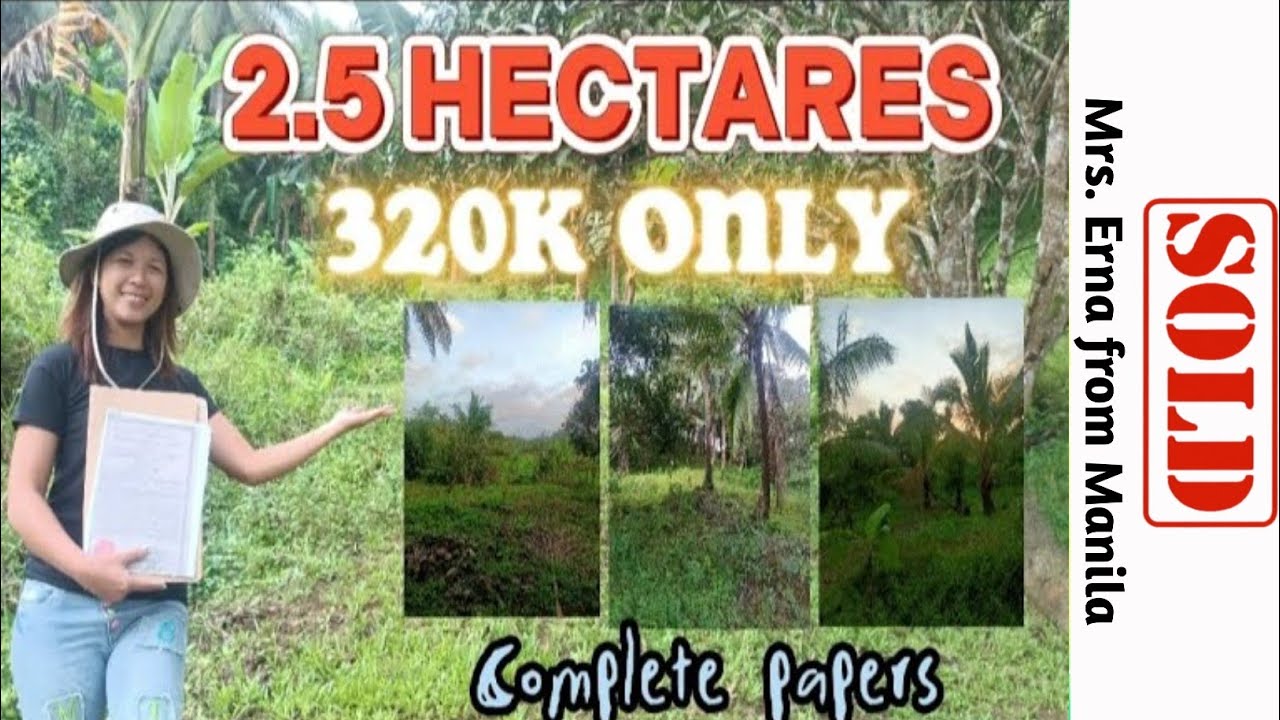  Vlog03 SOLD 2 5 Hectares 13 Pesos Per Square Meter YouTube