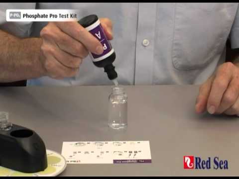Red Sea's Phosphate Pro Test kit - YouTube