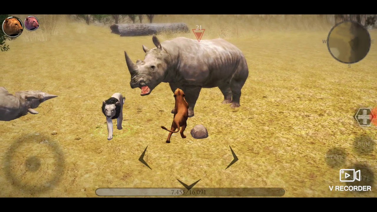 Birth of our lion cubs|ultimate lion simulator 2|#5 - YouTube