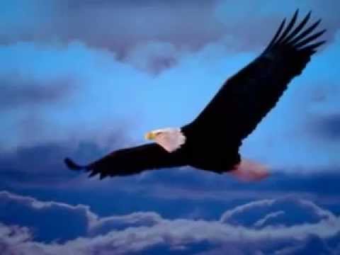 Ο ΑΕΤΟΣ ΠΕΘΑΙΝΕΙ ΣΤΟΝ ΑΕΡΑ-Νότης Σφακιανάκης- Anton - YouTube - YouTube