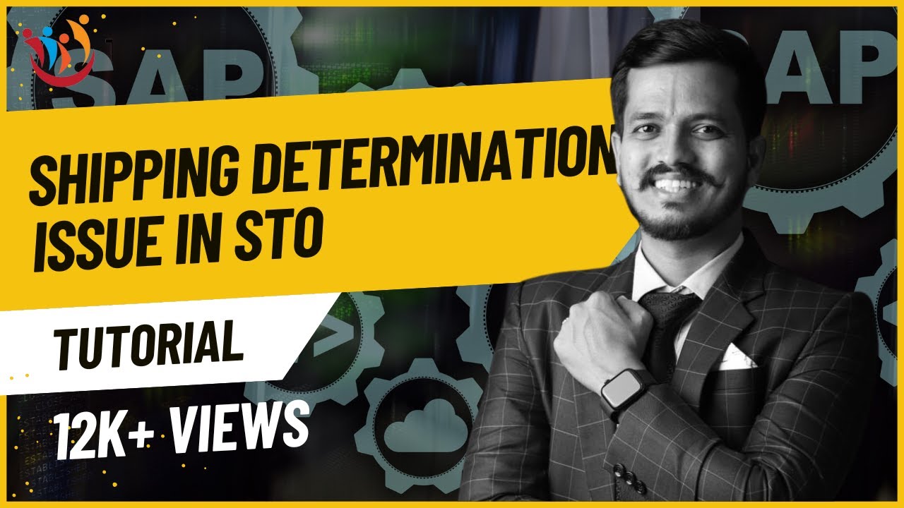 Shipping Determination issue in STO - Not possible to determine ...