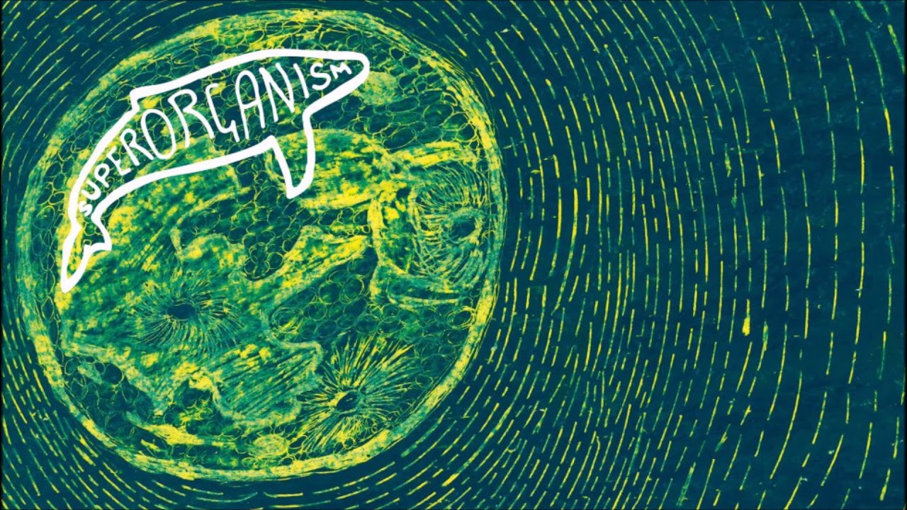 Superorganism - Sprorgnsm (Audio) - YouTube
