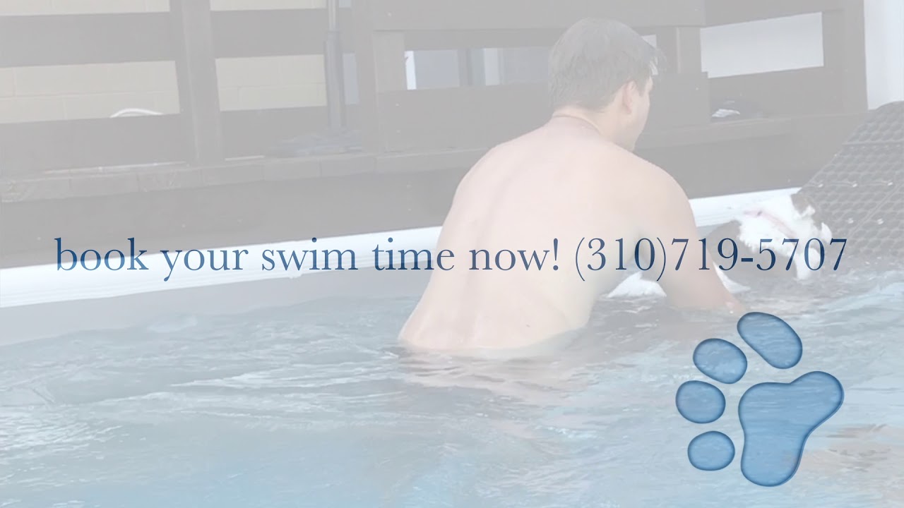 The Lovejoy Foundation Pool - YouTube