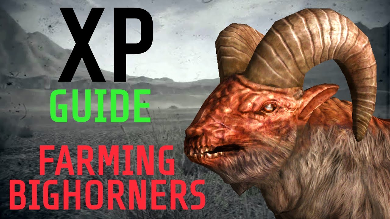 EASY XP ANY LEVEL | Bighorner Locations | Fallout: New Vegas - YouTube