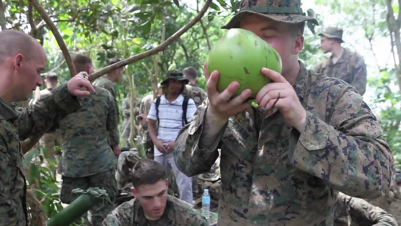 U.S. Marines learn jungle survival in the Philippines, 31st MEU - YouTube