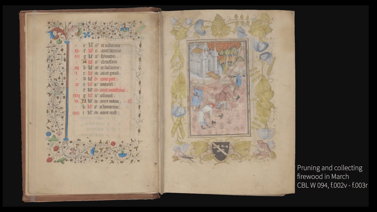 The Hamilton Field Book of Hours - Object in Focus with Dr Jill Unkel ...