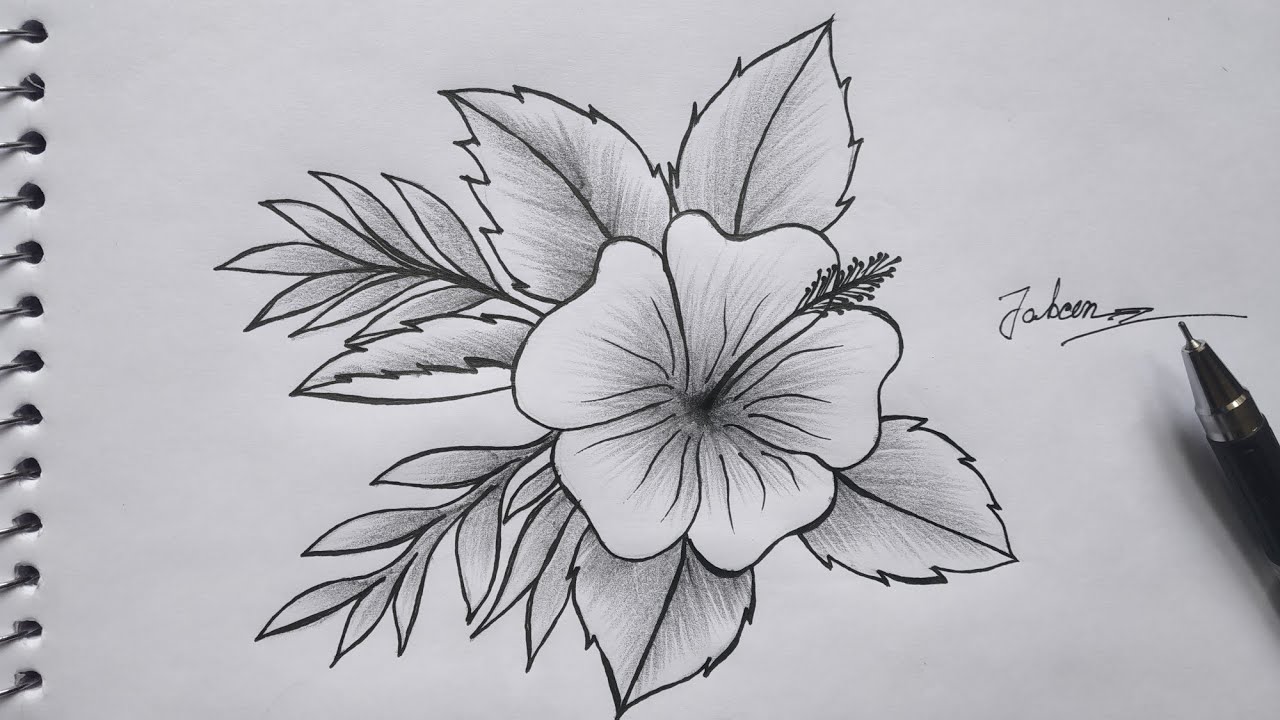 beautiful flowers draw | easy flower drawing | how to draw flowers ...