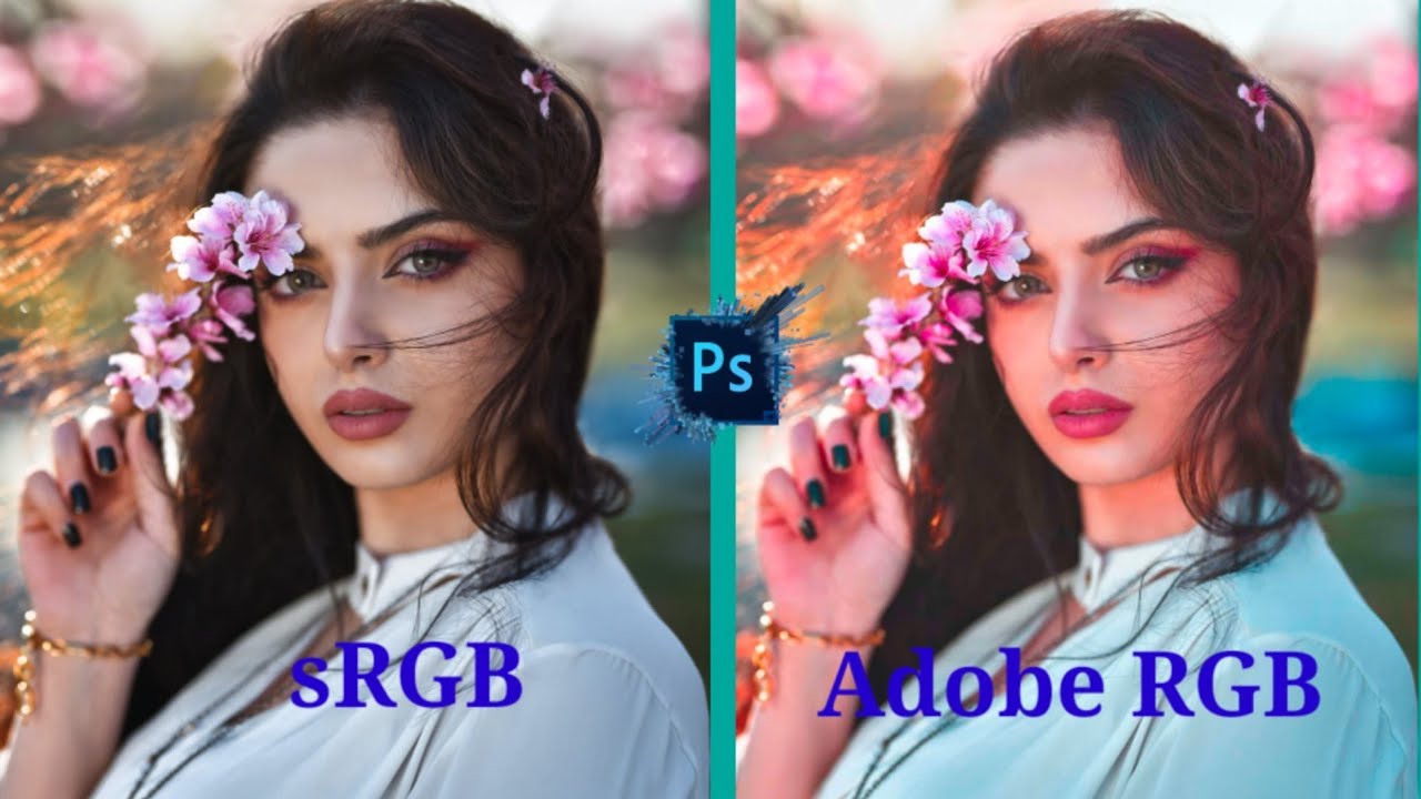 adobe srgb vs rgb,Weird "Color Profile"Trick to Instantly Make Colors ...