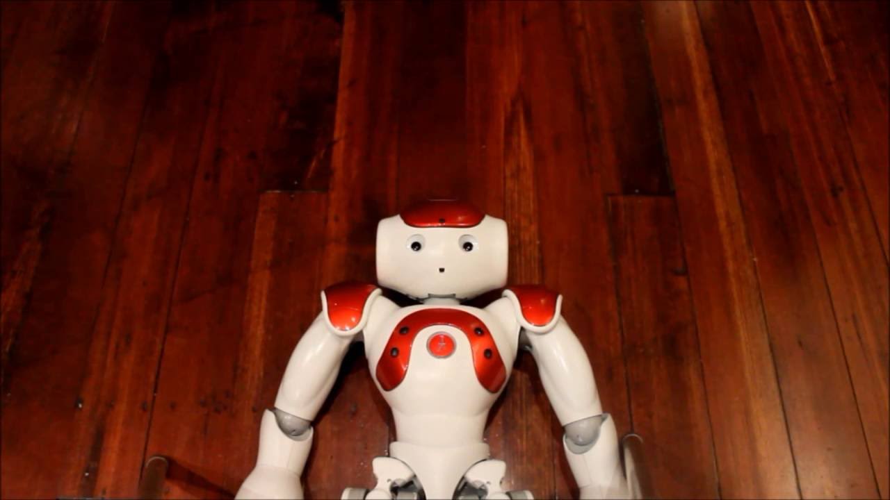 The Rubber Duck Hunt (Full Version) - YouTube