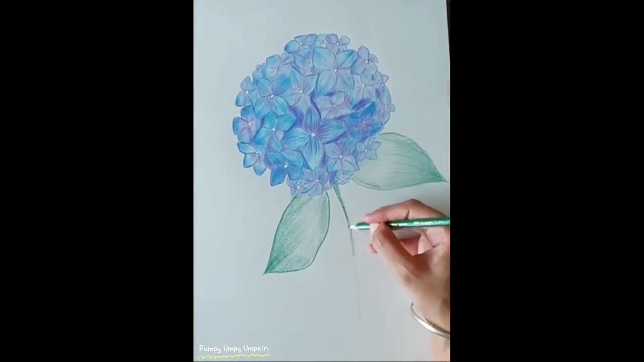 How to Draw Hydrangea Step by Step | Easy Way to Draw Hydrangea #134 ...