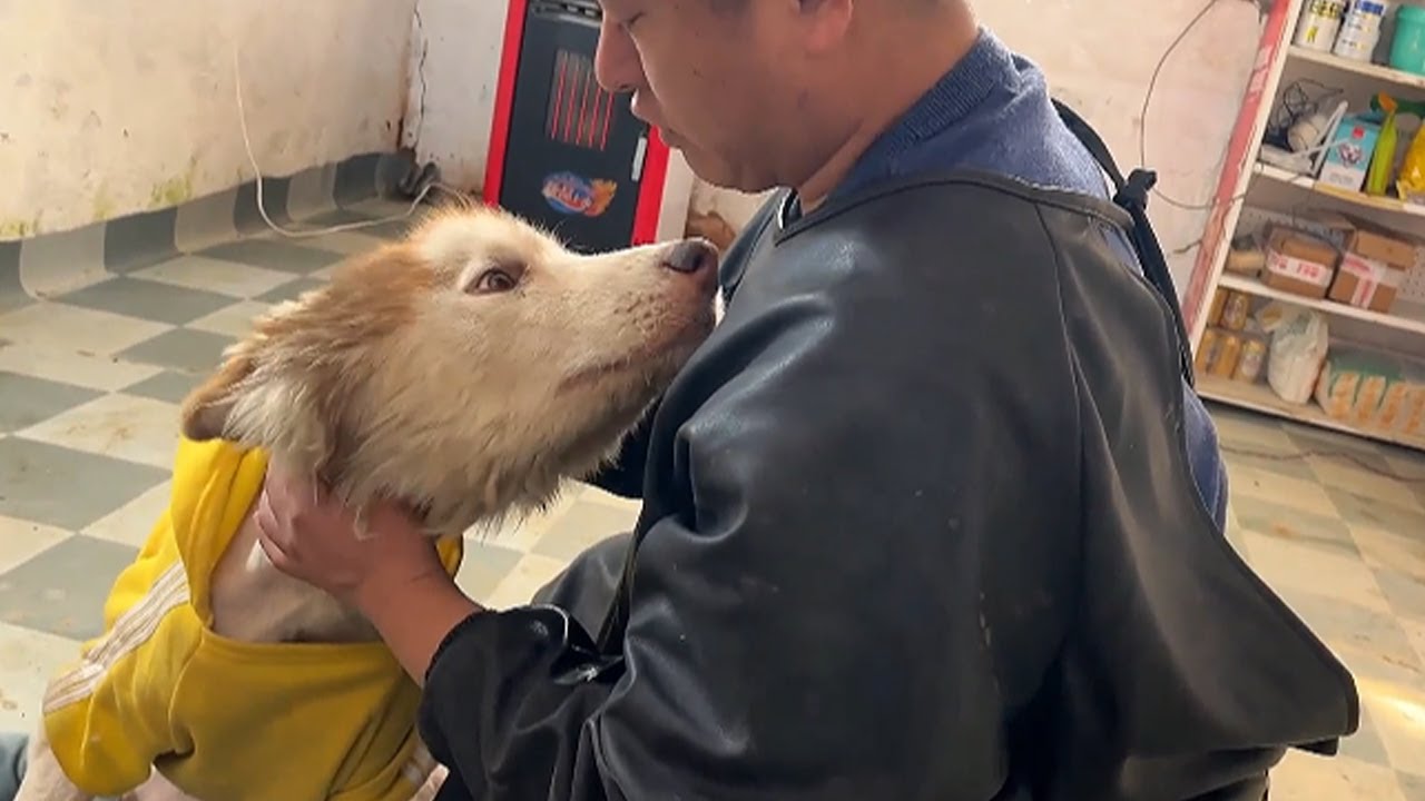 You'll Feel Hopeful And Happy When You're Faced With A Quirky Fur Child ...